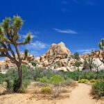 All-In-One California Self-Guided Driving & Walking Bundle Tour - Practical Tips for Using This Tour