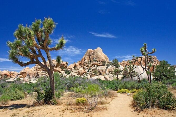 All-In-One California Self-Guided Driving & Walking Bundle Tour - Practical Tips for Using This Tour