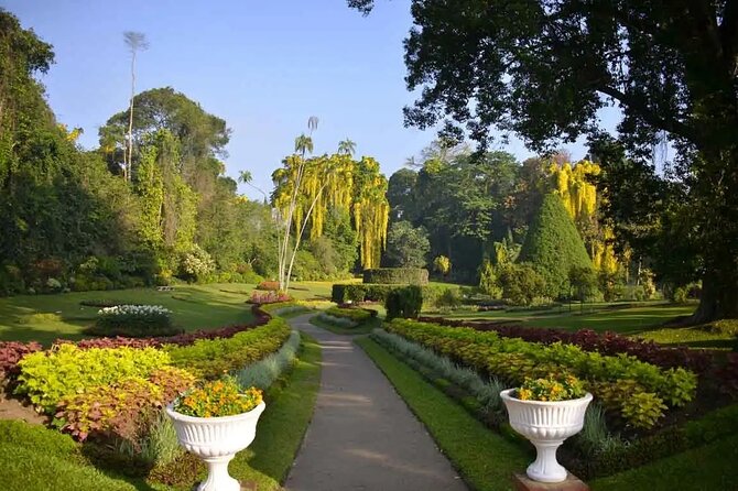 All Inclusive Kandy Private Day Tour From Colombo and Negombo - The Sum Up