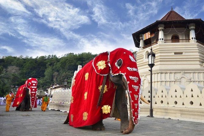 All Inclusive Kandy Private Day Tour From Colombo and Negombo - FAQ