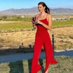 All-Inclusive Private Wine Tour in Baja - Transportation and Timing
