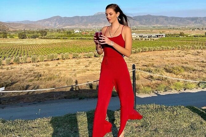 All-Inclusive Private Wine Tour in Baja - Transportation and Timing