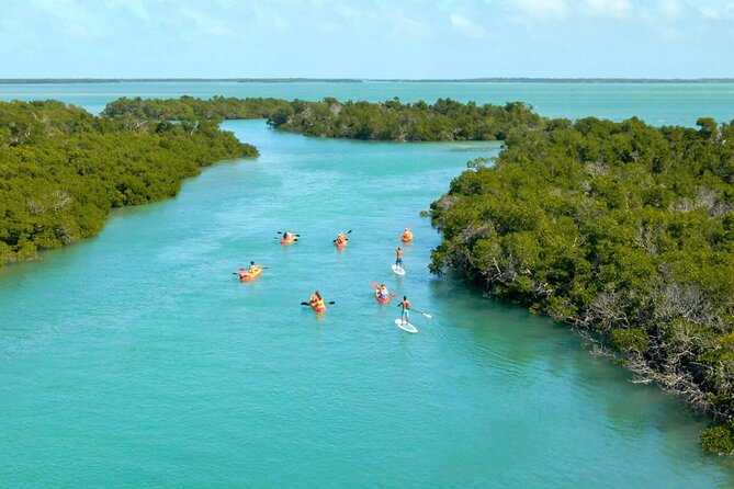 All Inclusive Sandbar Trip With Hidden Kayak Tour, Food & Drinks - The Slight Drawbacks