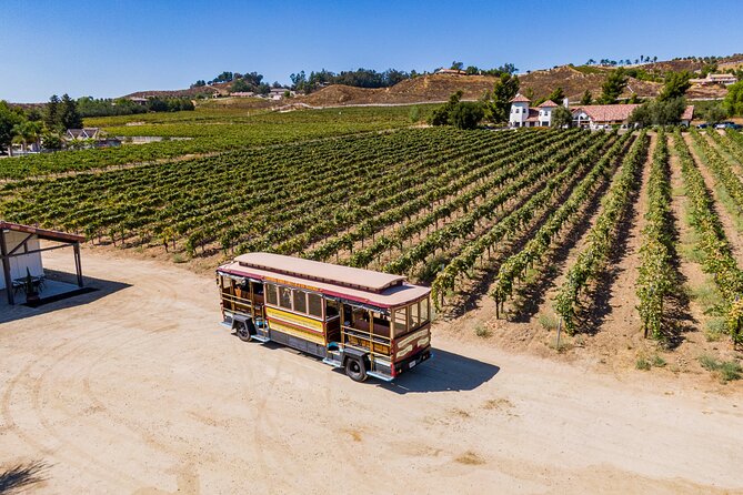 All-Inclusive Social Wine Tour - Transportation and Group Dynamics