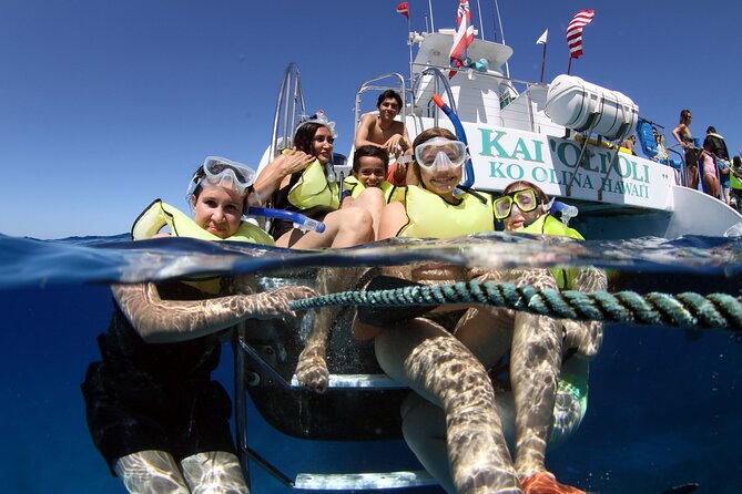 All-Inclusive Sunset Dolphin Watch and Snorkeling Cruise - All-Inclusive Sunset Dolphin Watch and Snorkeling Cruise: An Authentic Oahu Experience