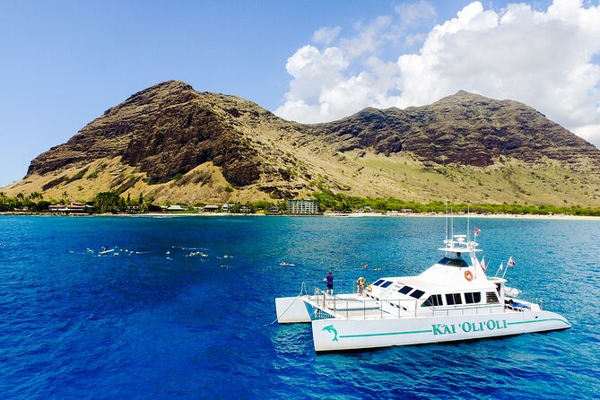 All-Inclusive Sunset Dolphin Watch and Snorkeling Cruise - Frequently Asked Questions