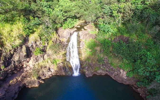 All Inclusive Ultimate Circle Island Tour, Waimea Falls & Lunch - What Do Reviewers Say?