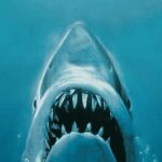 All New Shared Jaws tour Budget Friendly - Why This Tour Is a Great Choice