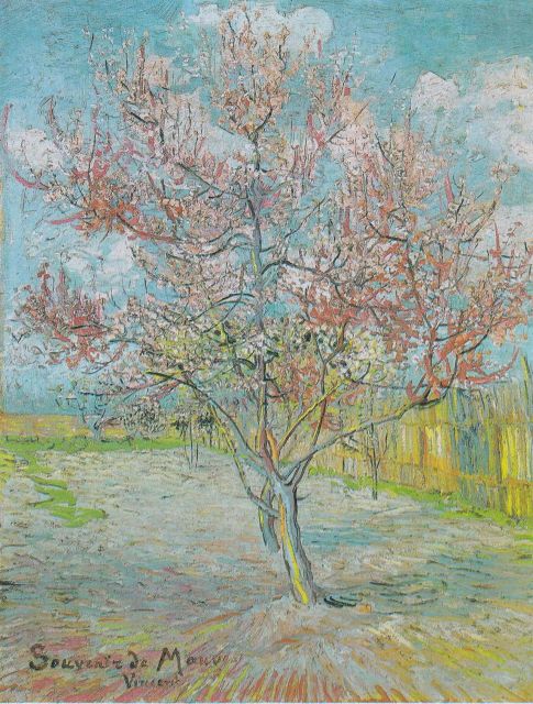 Almond Bloom Adventure: Nature's Art - Audio Driving Tour - Key Points