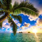 Aloha Lei Greeting on Arrival in Honolulu - What You Receive and Whats Included
