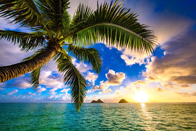 Aloha Lei Greeting on Arrival in Honolulu - What You Receive and Whats Included