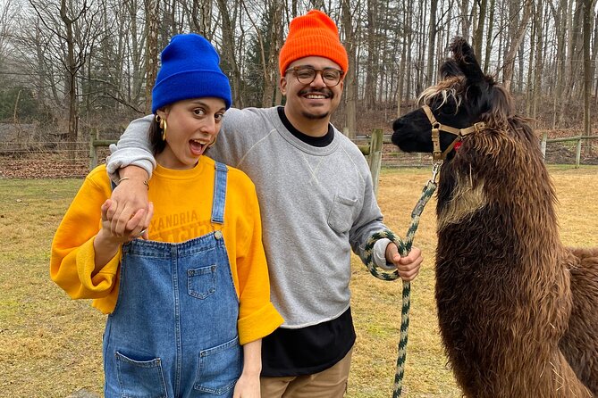 Alpaca and Llama Encounter with Guided Walk - Key Points