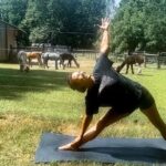 Alpaca and Llama Encounter with Guided Walk - Pricing & Value: Does the Experience Match the Cost?