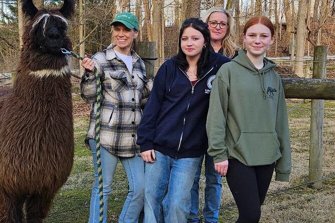 Alpaca and Llama Encounter with Guided Walk - FAQ