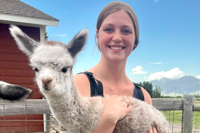 Alpaca and Llama Farm Tour - What to Expect from the Alpaca and Llama Farm Tour
