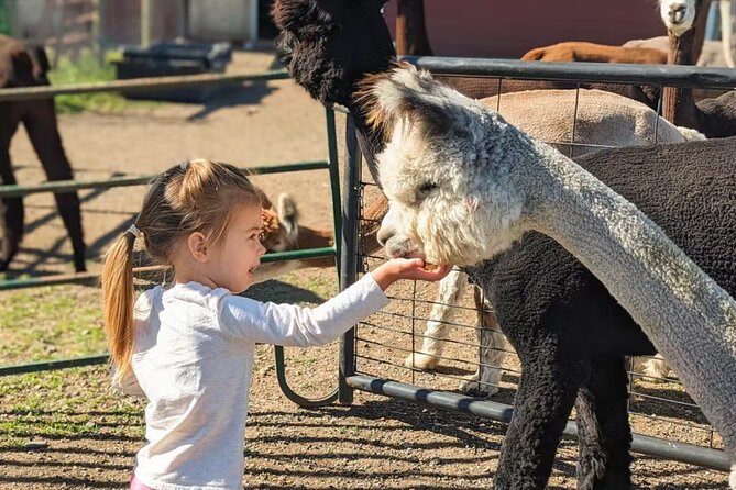 Alpaca and Llama Farm Tour - FAQ