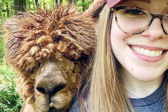 Alpaca and Llama Trek in Pleasant Valley - Key Points