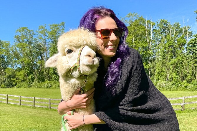 Alpaca and Llama Trek in Pleasant Valley - Who Will Love This Tour?