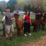 Alpaca and Llama Trek in Pleasant Valley - Practical Tips for Your Visit
