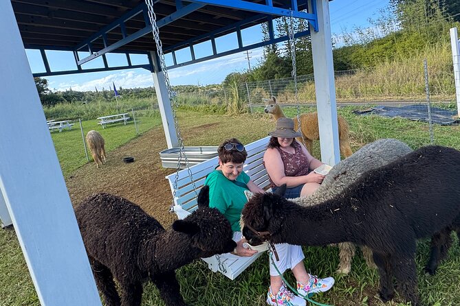 Alpaca Farm Experience on the Road to Hana - Practical Details and Booking