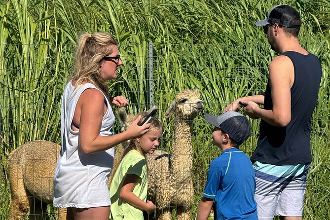 Alpaca Farm Experience on the Road to Hana - Final Thoughts on the Alpaca Farm Experience