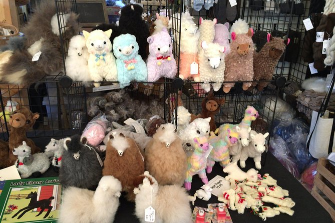 Alpaca Ranch and Fiber Processing Mill Tour - Practical Details and Logistics