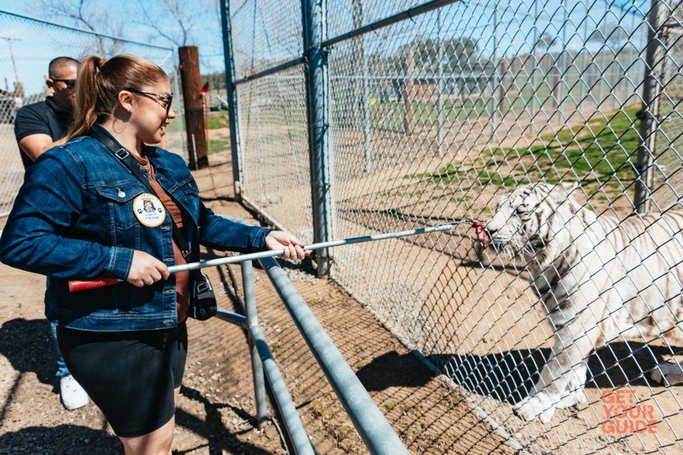 Alpine: Lions Tigers & Bears Sanctuary Visit and Feeding - Practical Details for Travelers