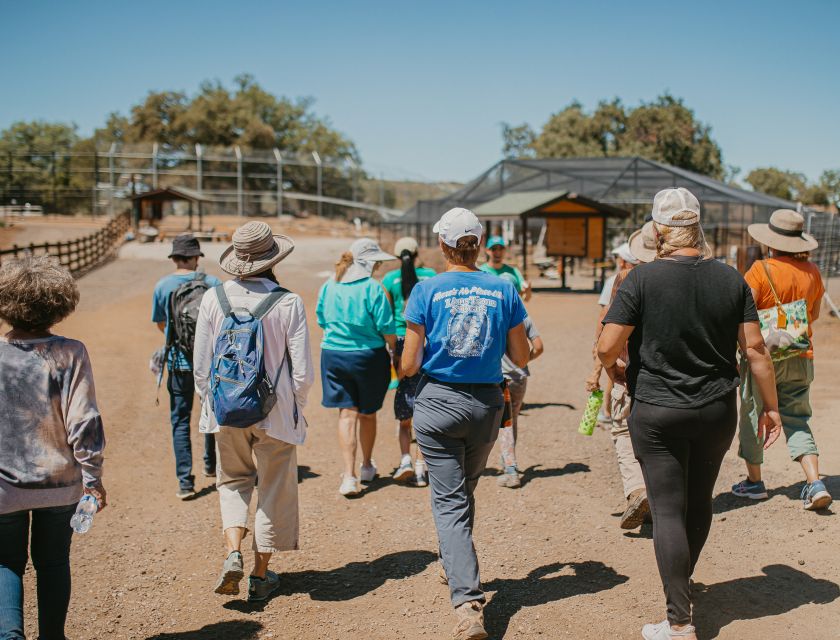 Alpine: Lions Tigers & Bears Sanctuary Visit and Feeding - Authentic Insights From Past Participants