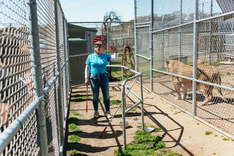Alpine: Lions Tigers & Bears Sanctuary Visit and Feeding - Who Should Consider This Tour?
