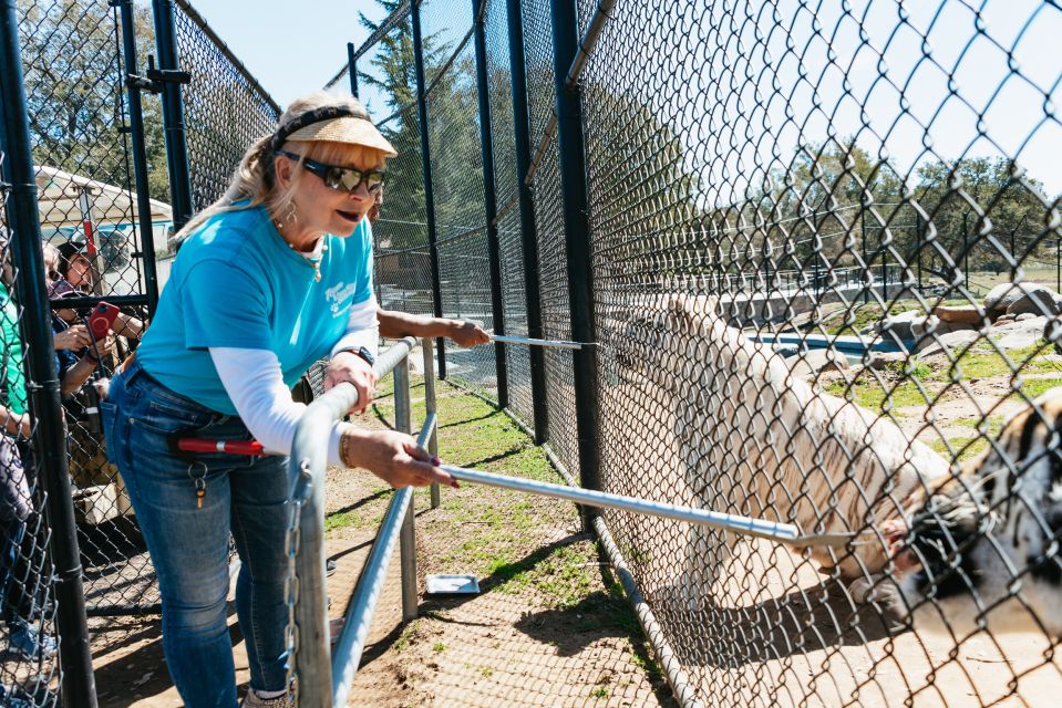 Alpine: Lions Tigers & Bears Sanctuary Visit and Feeding - The Sum Up