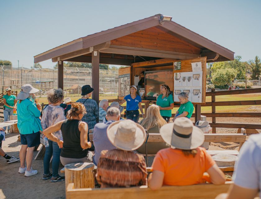 Alpine: Lions Tigers & Bears Sanctuary Visit and Feeding - FAQ
