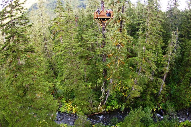 Alpine Zipline Adventure in Juneau, AK - The Experience and Who It’s Best For