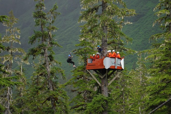 Alpine Zipline Adventure in Juneau, AK - Analyzing the Value