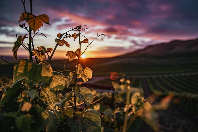 Amador County Self-Guided Wine Tour - Discover the Charm of Amador County with a Self-Guided Wine Tour