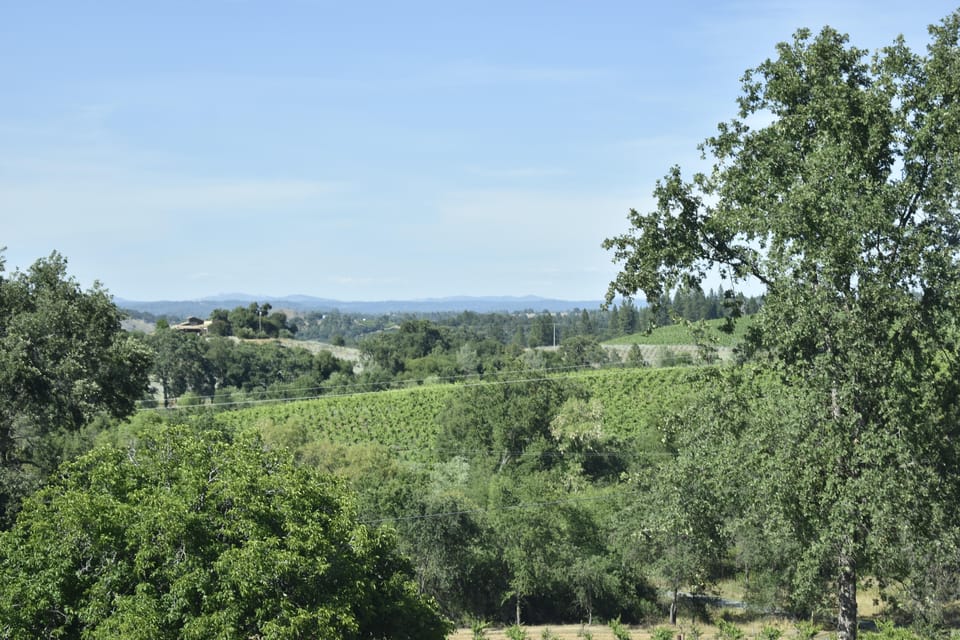 Amador County Wine Tasting Tour Private Tour 1 To 14 Group - Discovering Amador County’s Charm