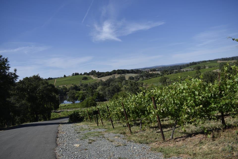 Amador County Wine Tasting Tour Private Tour 1 To 14 Group - Duration and Flexibility