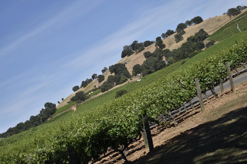 Amador County Wine Tasting Tour Private Tour 1 To 14 Group - Who Is This Tour Best For?