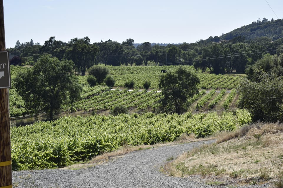 Amador County Wine Tasting Tour Private Tour 1 To 14 Group - The Sum Up