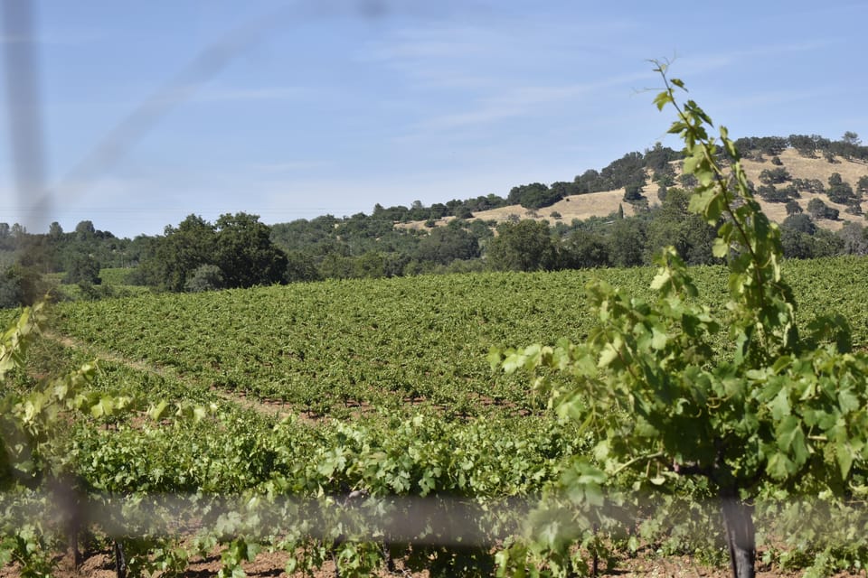 Amador County Wine Tasting Tour Private Tour 1 To 14 Group - FAQ