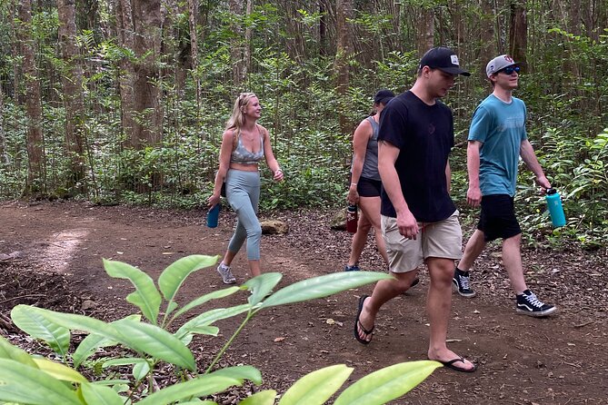 Amazing Maui Ridge Hike - Who Will Love This Tour?