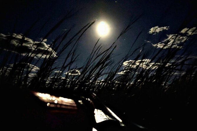Amelia Full Moon Paddle at Talbot Islands State Park - Key Points