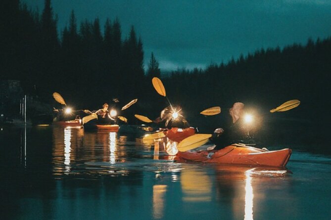 Amelia Full Moon Paddle at Talbot Islands State Park - Exploring the Full Moon Paddle Experience in Detail