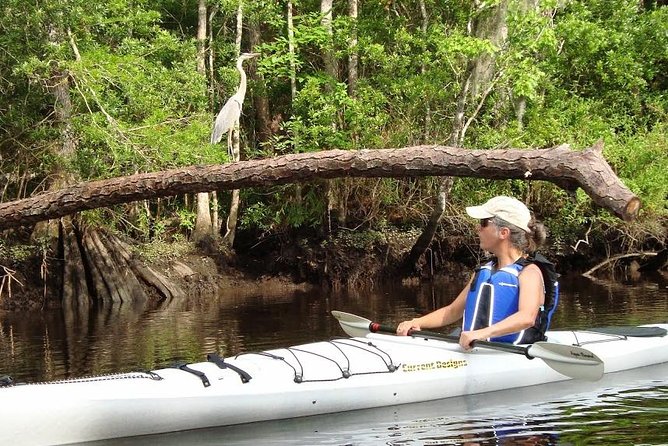 Amelia Island Area Kayak Rental on Lofton Creek with Adventures Up The Creek - Why This Experience Offers Great Value