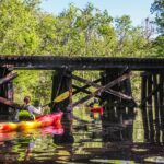 Amelia Island Guided Kayak Tour of Lofton Creek - What Reviewers Say: Real Experiences