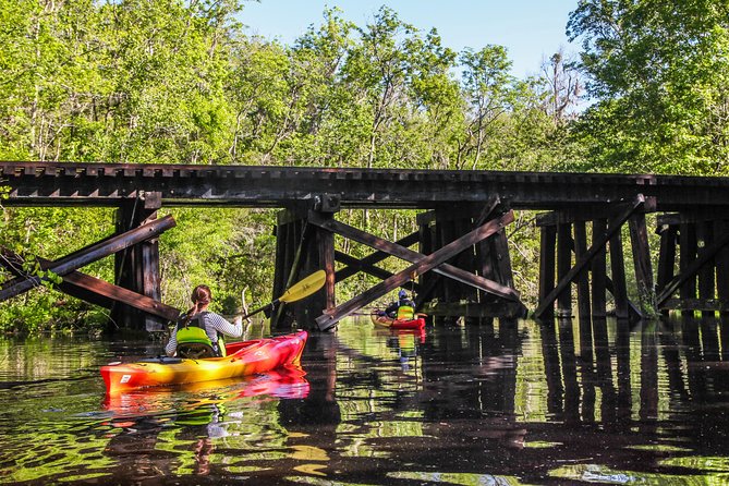 Amelia Island Guided Kayak Tour of Lofton Creek - What Reviewers Say: Real Experiences