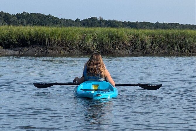 Amelia Salt Marsh Paddle in Talbot Islands State Park - Who Should Consider This Tour?