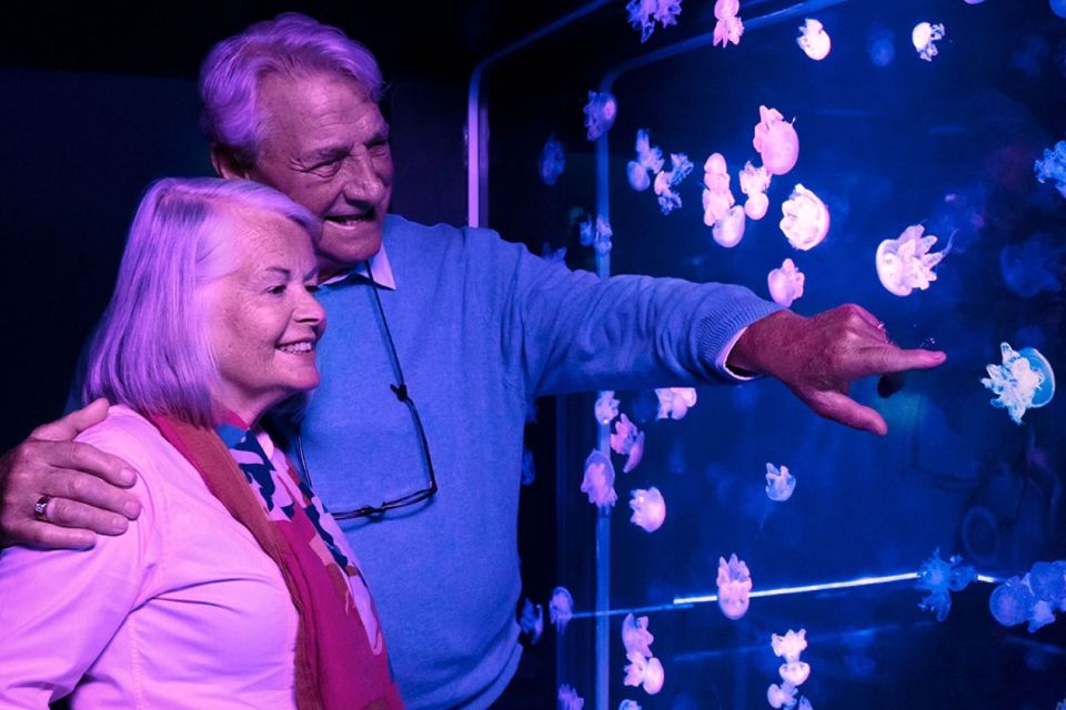 American Dream: SEA LIFE® Aquarium Entry Ticket - An In-Depth Look at SEA LIFE® Aquarium in New Jersey  