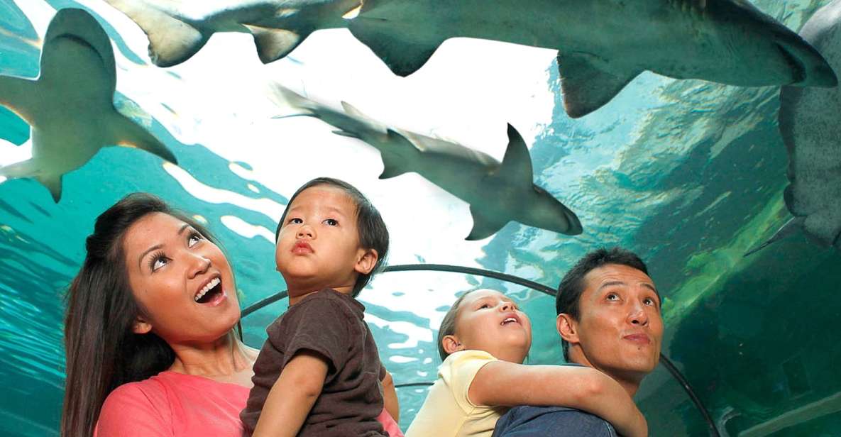 American Dream: SEA LIFE® Aquarium Entry Ticket - Who Should Consider Visiting  