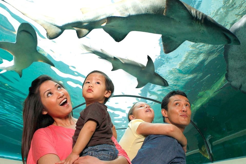 American Dream: SEA LIFE® Aquarium Entry Ticket - FAQs  