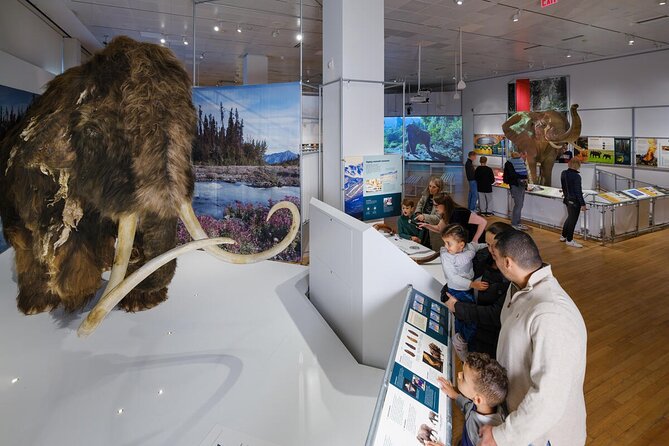 American Museum of Natural History Admission Ticket - What to Expect at the American Museum of Natural History